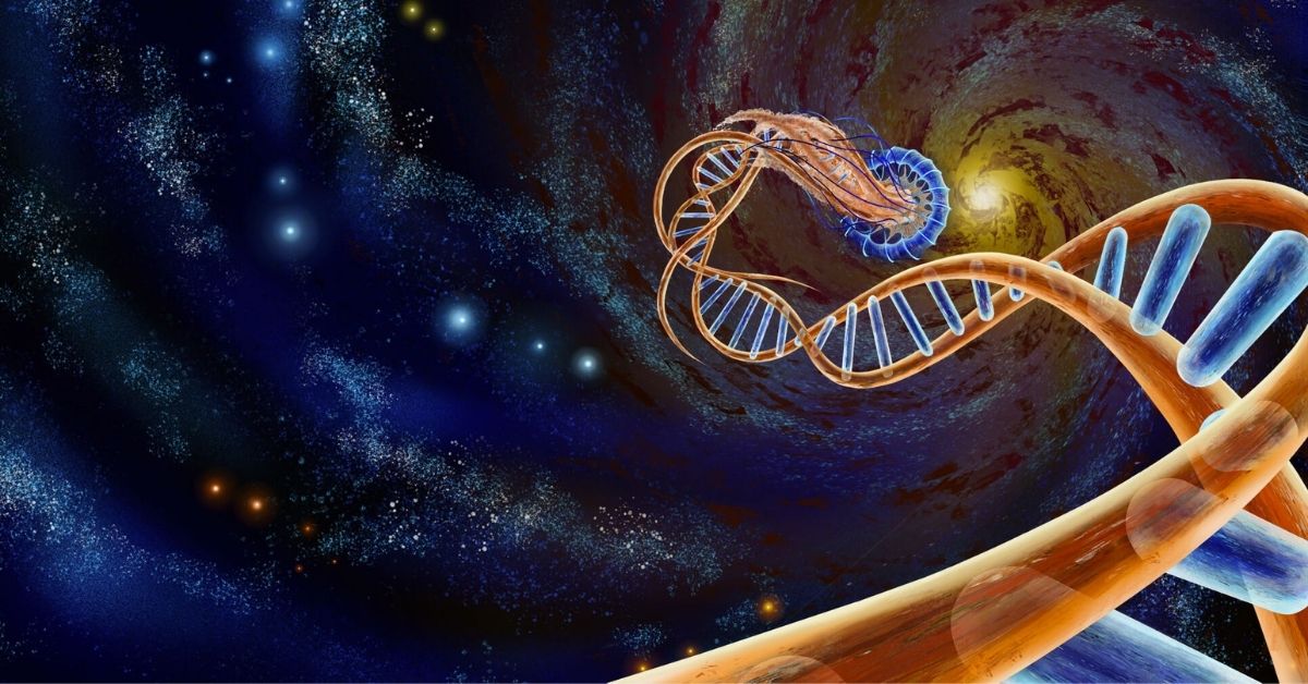 L’image de l’univers, infiniment petit, grand et complexe